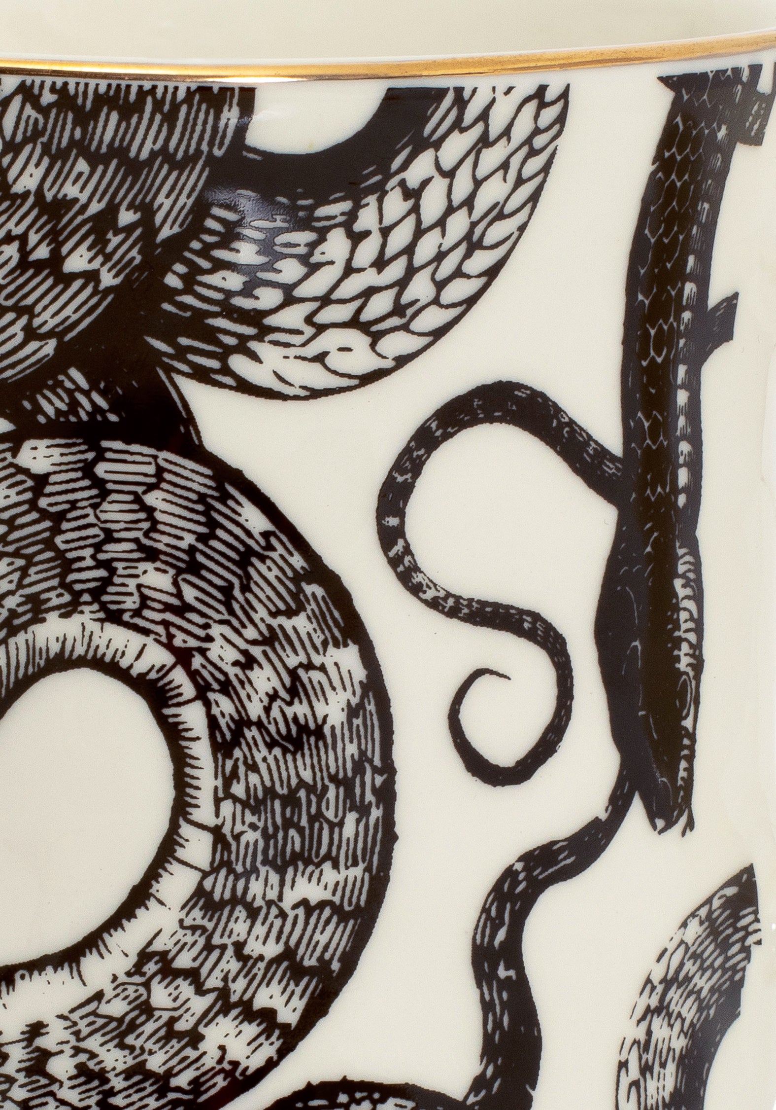 Saraph-Snakes-Mug – Disturbia