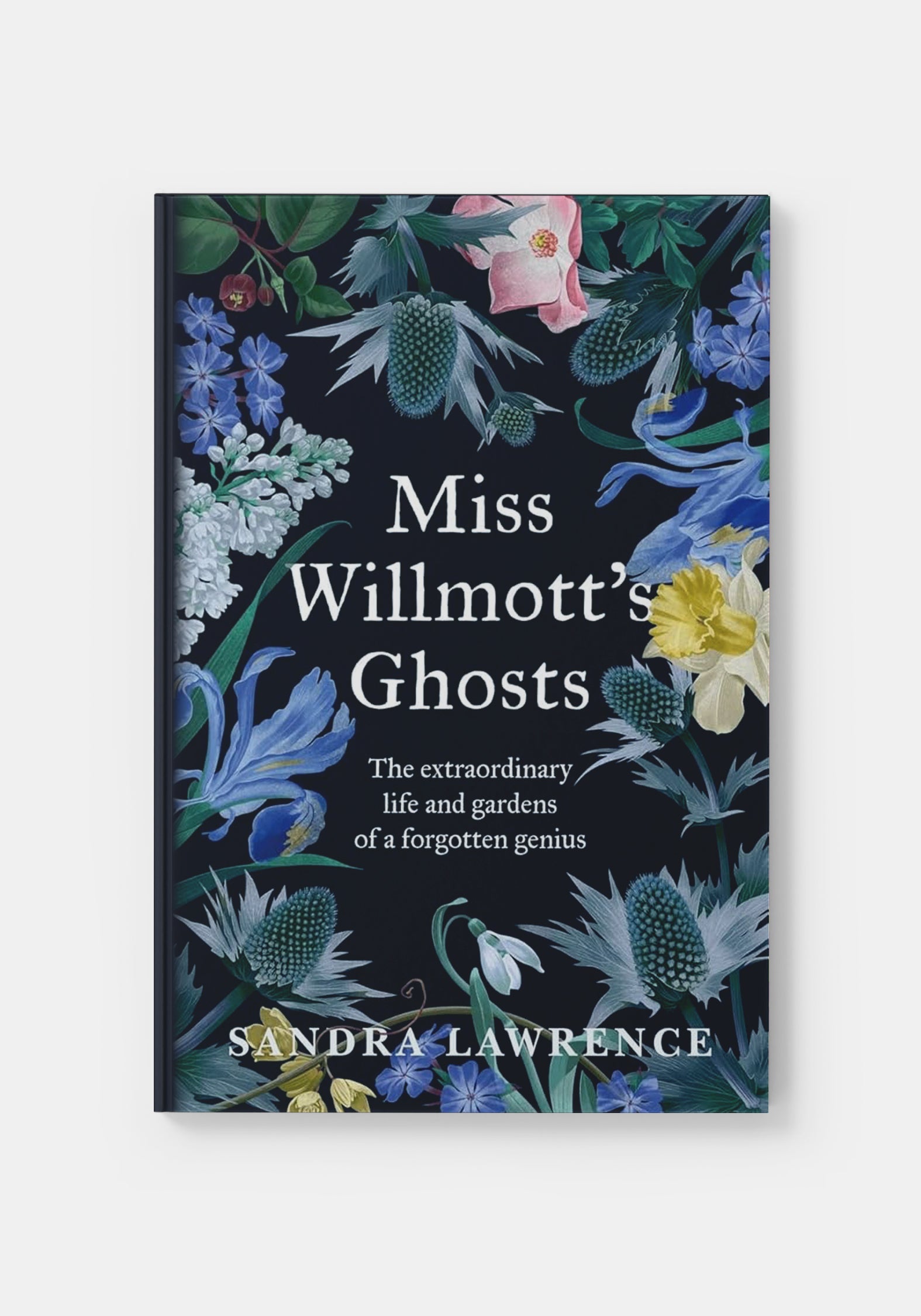 Miss Willmott's Ghosts - Sandra Lawrence – Disturbia