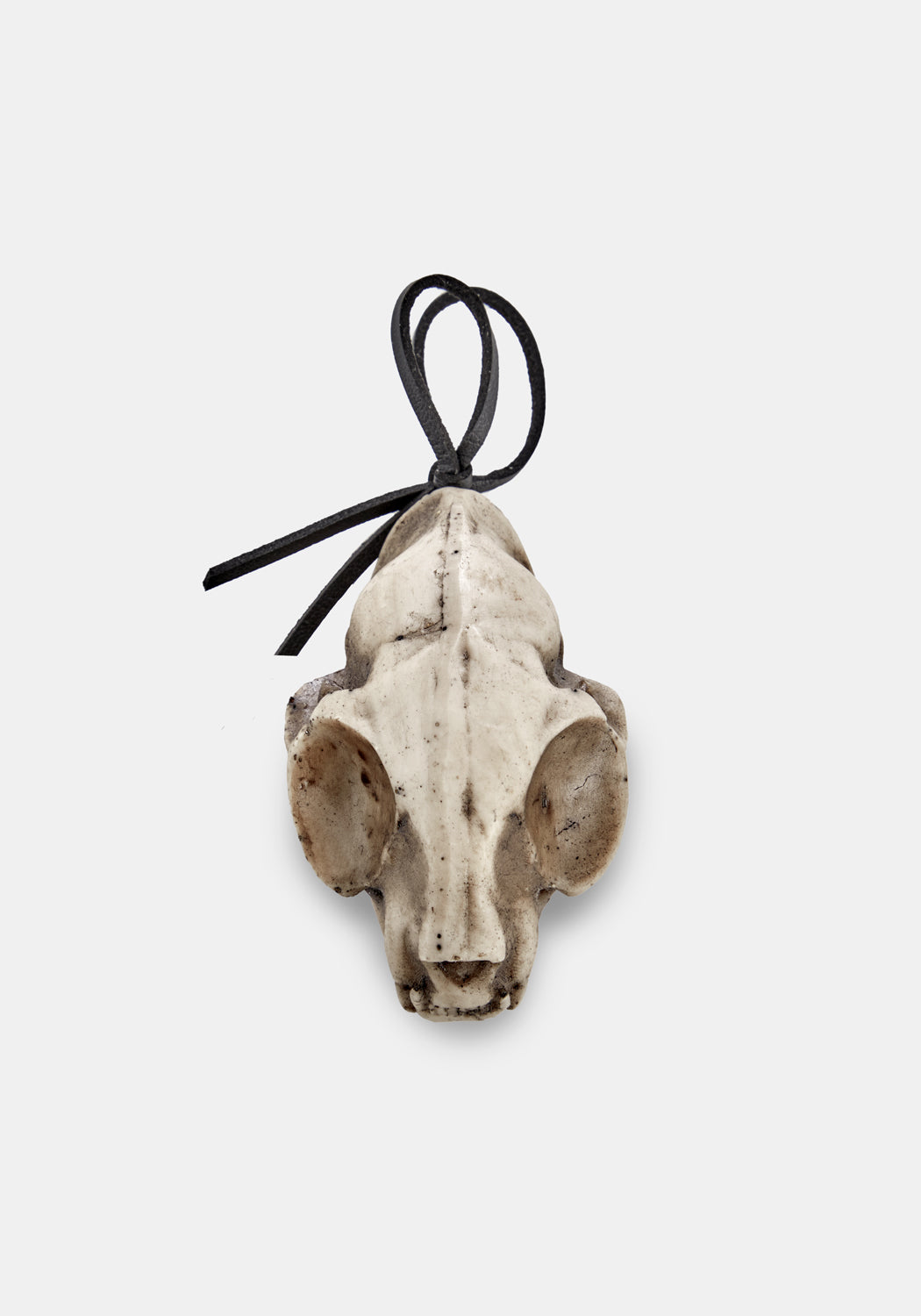 Disturbia | Cat Skull Offering | Ornaments