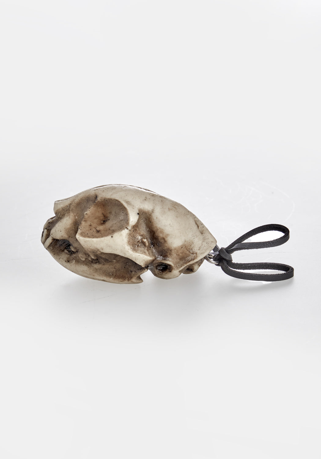 Disturbia | Cat Skull Offering | Ornaments