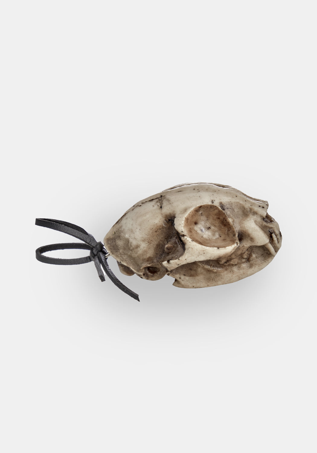 Disturbia | Cat Skull Offering | Ornaments