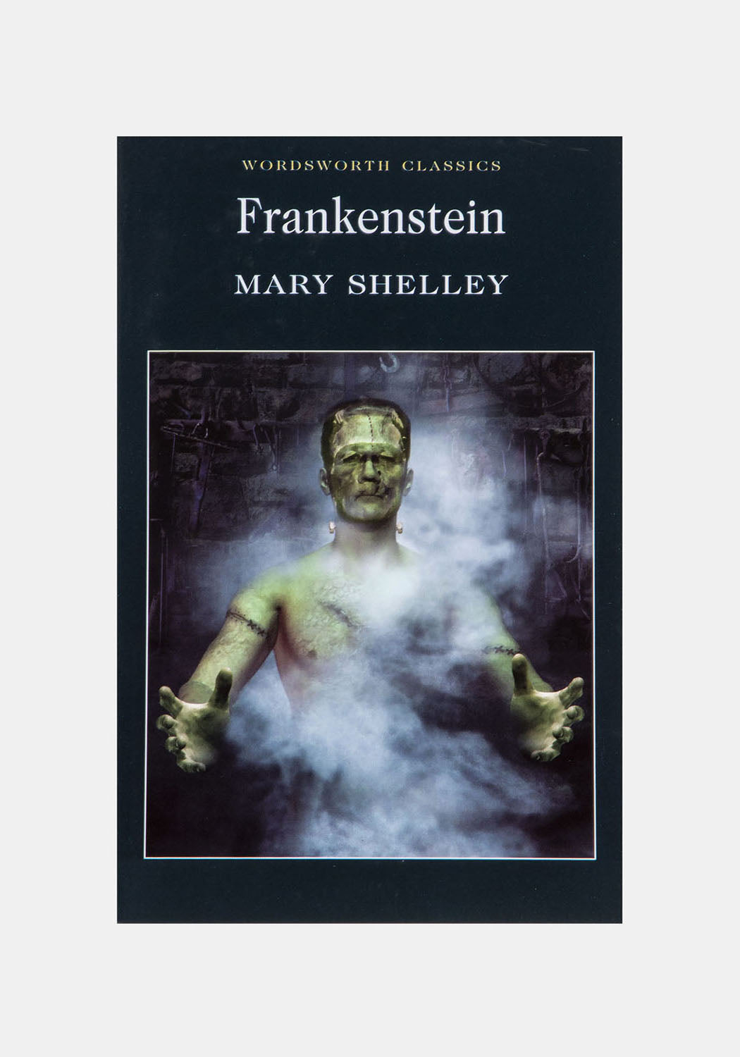 Disturbia | Frankenstein by Mary Shelley | Books
